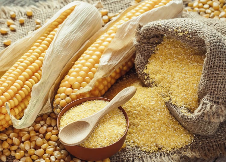 Bulk Dry and Whole Corn Ingredients Supplier in US | North America ...