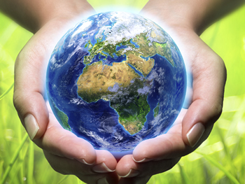 EverSweet & Sustainability - Cargill North America | Cargill