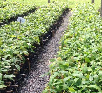 Responsible Fertilizer Training | Cargill