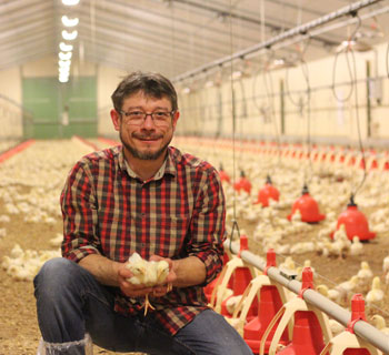 Poultry -Broiler solutions | Cargill