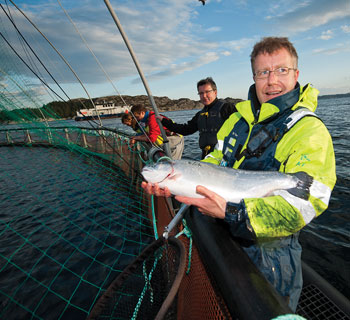 Aquaculture Feed | Aquafeeds For Warm & Cold Water Fish | Cargill | Cargill