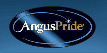 Angus Pride Logo