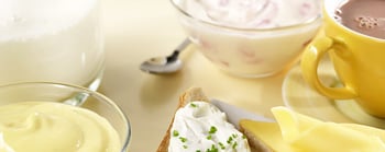 Powder Dairy Blends | Cargill