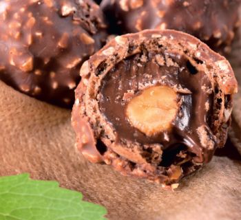 Stevia Leaf Extract Chocolate Hazelnut Coating and Filling | Cargill ...