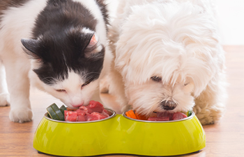 Animal Food Solutions | Cargill | Cargill