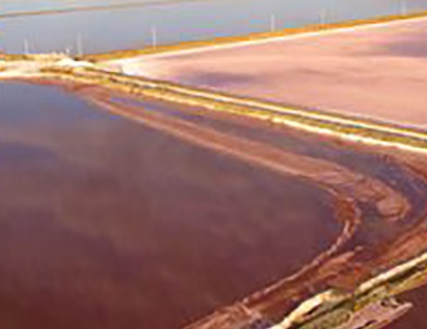 Sea Salt Ponds | Cargill