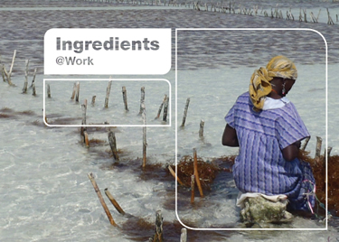 Satiagel™ ADG 0220 Seabrid™ | Cargill