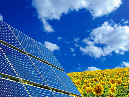 Protecting our planet | Cargill