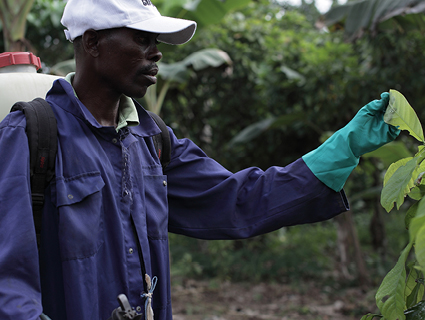 Fertilizer | Cargill