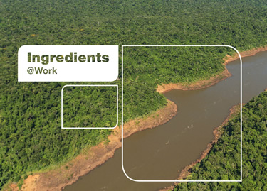 Recycling program prevents the pollution of 50 billion liters of water ...