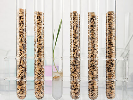 Xanthans | Cargill Beauty | Cargill