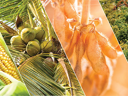 Ingredient Portfolio | Cargill Beauty | Cargill