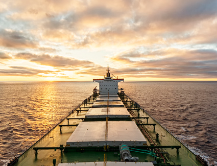 Cargill adds efficient baby-cape vessels to fleet | Cargill