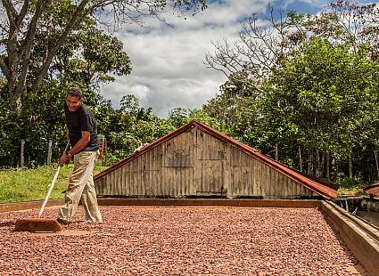 Collaborative Initiative Announced to Boost Sustainability in Brazil’s ...