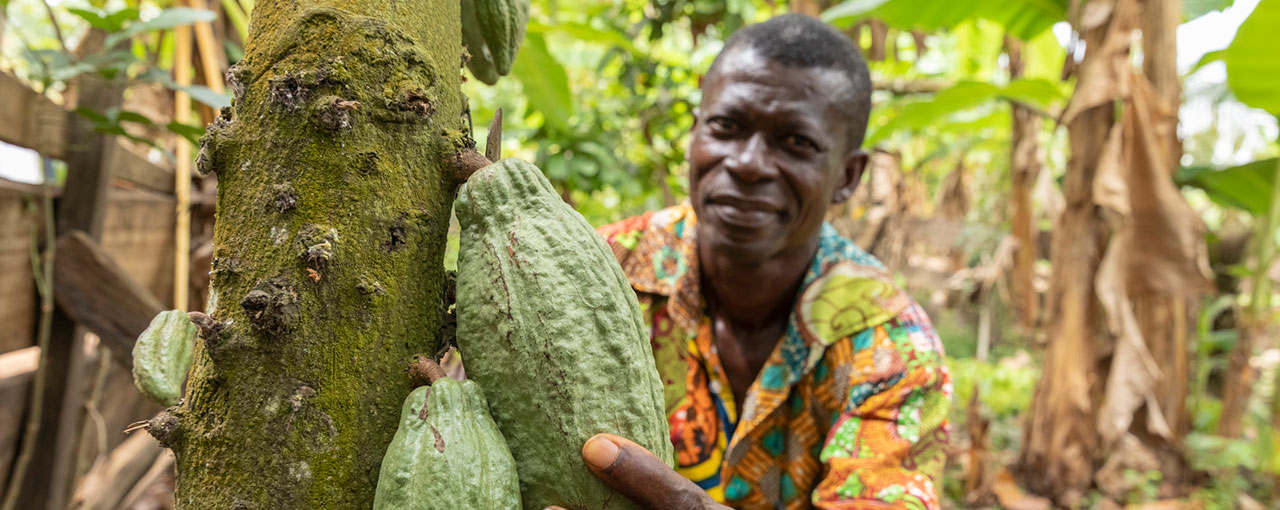 Cocoa Stories | Cargill