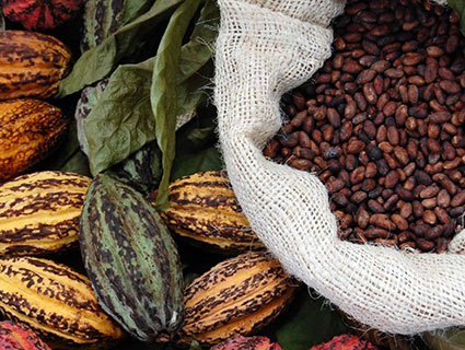 Find the right claim for your milk chocolate | Cargill Cocoa ...