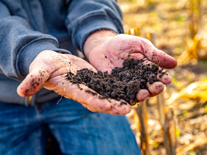 New revenue stream for farmers as part of Cargill's regen ag commitment ...