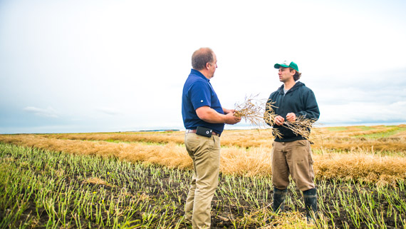 Sustaining the Land | Cargill