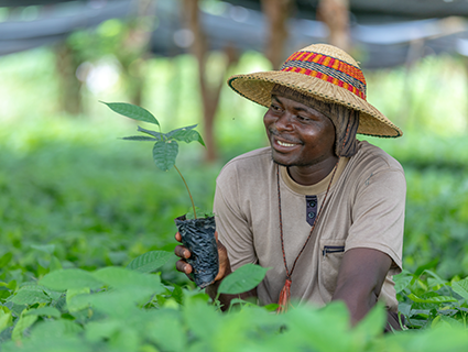 Making progress in solving a complex equation | Cargill