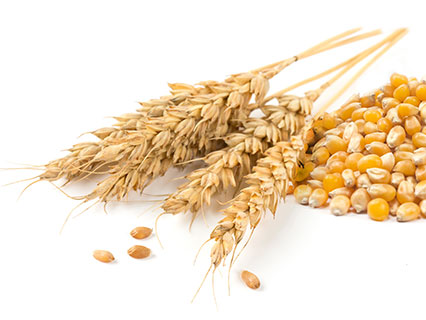 Cargill™ soluble fiber | Bulking Agents | Sweeteners | Cargill