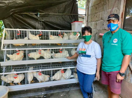 HENS Project: Nurturing communities in Batangas through backyard ...