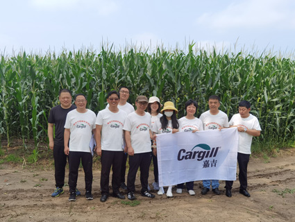 Making corn farming in China more sustainable, safe, and contemporary ...
