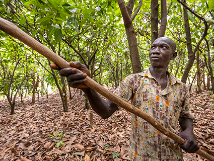 CLAP program cocoa farmers ownership peace of mind | Cargill