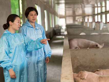 Cargill’s training programs help hog farmers in China build better ...