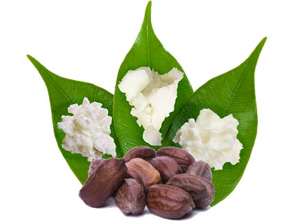 Esters | Cargill Beauty | Cargill