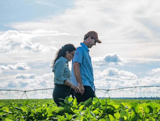 Cargill Empowers Cocoa Farming Supply Chains | Cargill