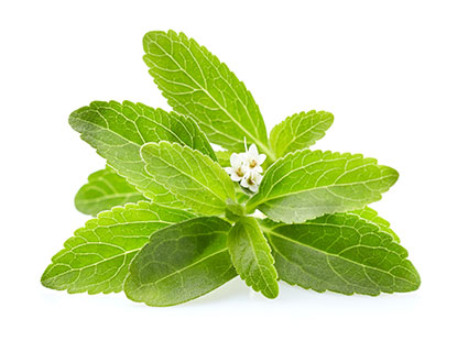 High Intensity Sweeteners | Food Solutions EMEA | Cargill