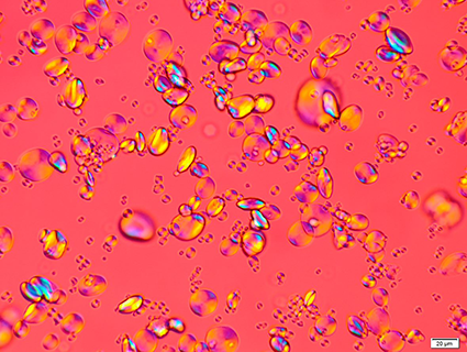 Product Solutions | Paper & Board Making | Bioindustrial | Cargill