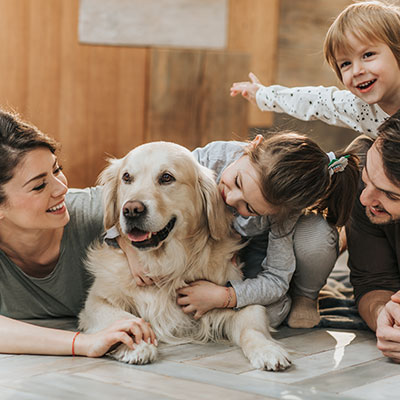 Frozen Pet Food Manufacturing Solutions | Cargill