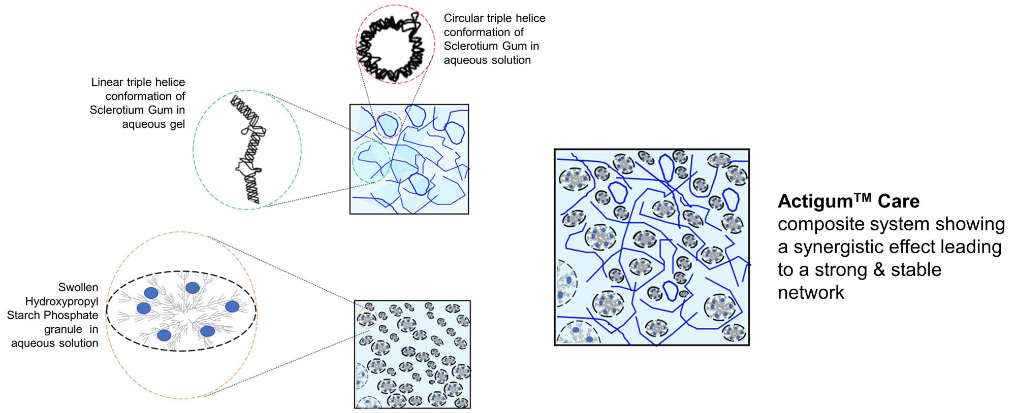 Actigum Care New Generation of Natural Derived Polymers | Cargill