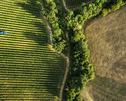 Inside our 2024 Impact Report | Cargill