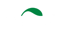Incident Response and Cargill Electrical Safety Policy